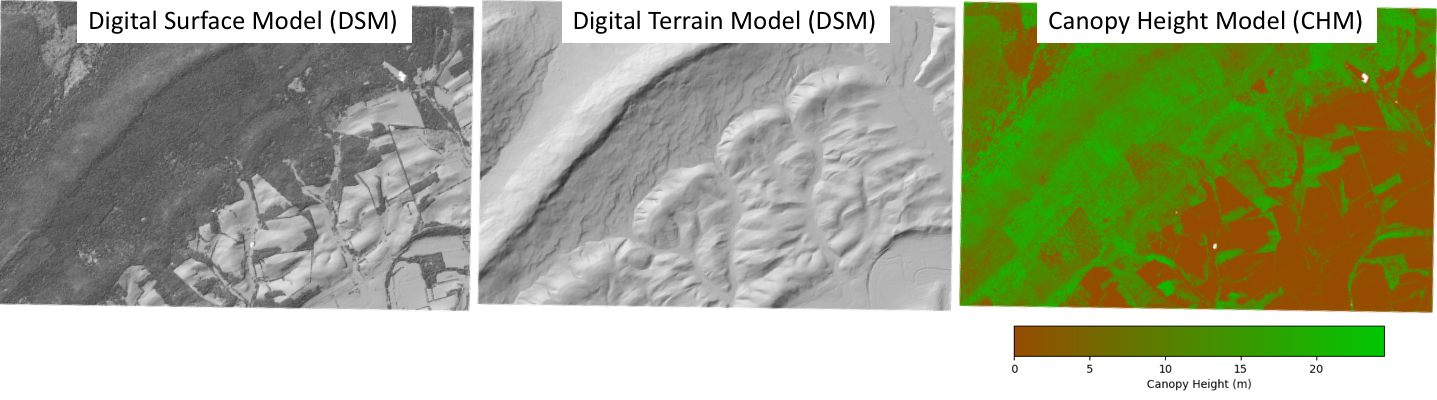 OpenTopography Releases Canopy Height Model Tool | OpenTopography OpenTopography Releases Canopy Height Model Tool | OpenTopography